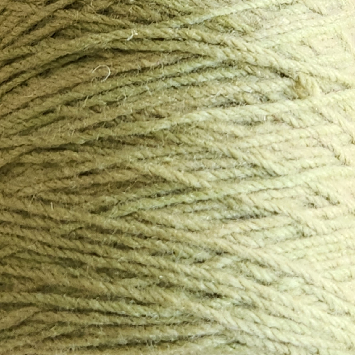 Mint (Fine) - Wool Rug Yarn by Punch Needle World